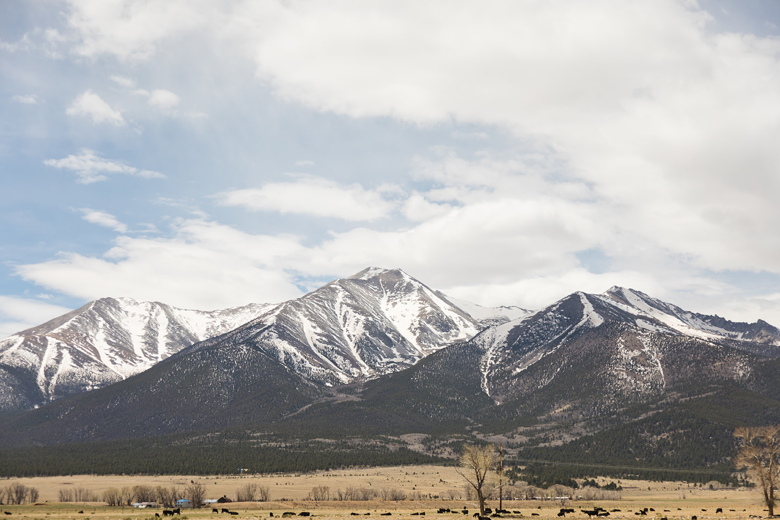Photo Gallery - The Barn at Sunset Ranch